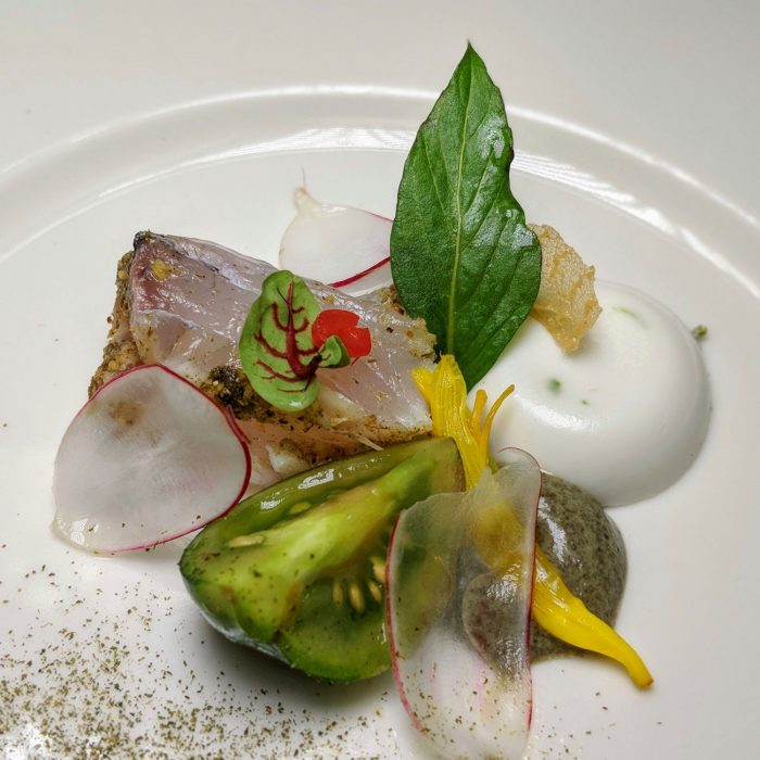 Hyatt: Tasting The Good Taste Series 2019 | Secret Life of Fatbacks