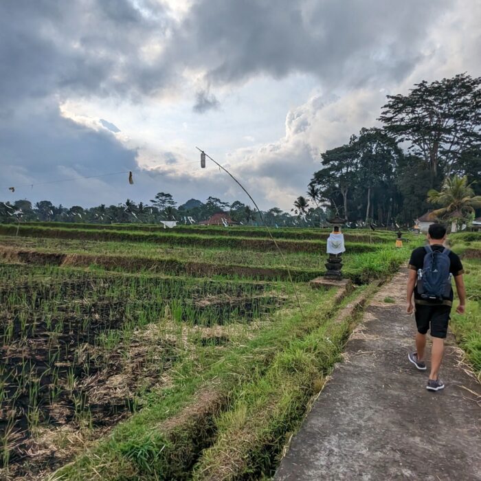 Hotel Review: Capella Ubud (River Tent) - Signature Bill Bensley Whimsy ...